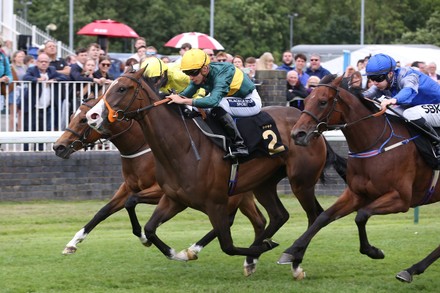Nottingham Races, Horse racing - 29 Jul 2021 Stock Pictures, Editorial ...
