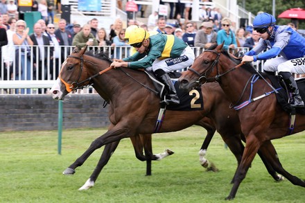 Nottingham Races, Horse racing - 29 Jul 2021 Stock Pictures, Editorial ...