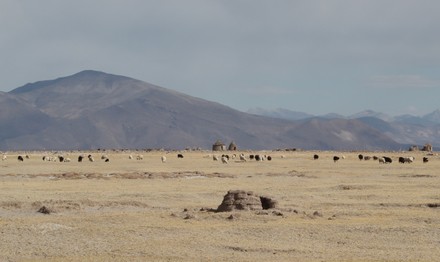 The Uru-Chipayas indigeonous people of Bolivia, Chipaya - 30 Jul 2021 ...