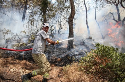 Mna Tries Put Out Wildfires Rural Editorial Stock Photo - Stock Image ...
