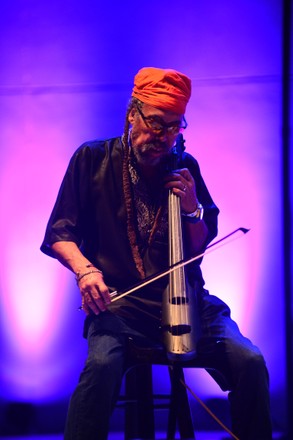 Stephen Cat Coore Performs Julian Marley Editorial Stock Photo - Stock ...