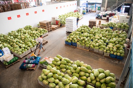 Staff Members Transfer Fruits Vegetables Distribution Editorial Stock ...