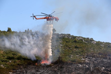 Firefighting Helicopter Douses Wildfires North Athens Editorial Stock ...