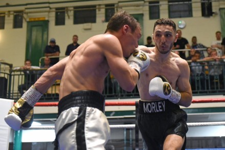 __COUNT__ Warren Boxing Management Show, Boxing, York Hall, Bethnal ...