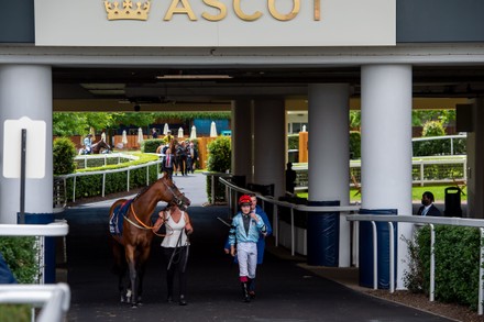 4 Trainer lawrence mullaney Stock Pictures, Editorial Images and Stock ...