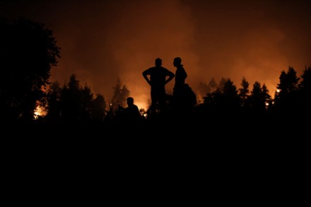 89 Open field fire Stock Pictures, Editorial Images and Stock Photos ...