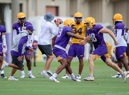 Lsu Linebackers Mike Jones Jr 19 Editorial Stock Photo - Stock Image ...