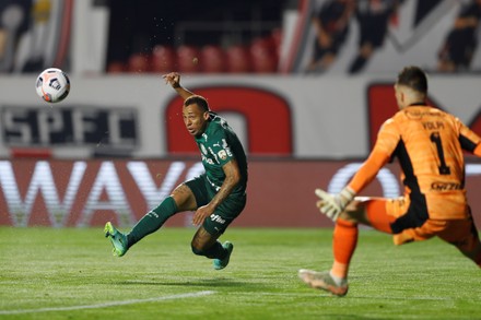 Tiago R Goalkeeper Sao Paulo Action Editorial Stock Photo - Stock Image ...