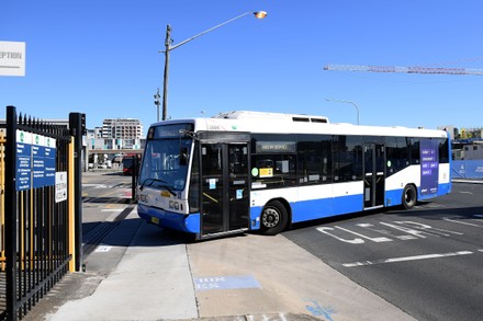General View Buses Transport Nsw Burwood Editorial Stock Photo - Stock ...
