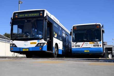 General View Buses Transport Nsw Burwood Editorial Stock Photo - Stock ...