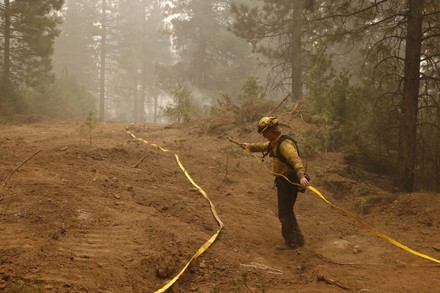 Firefighter Lays Down Hose Lines Help Editorial Stock Photo - Stock ...