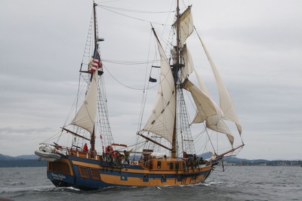 105foot Square Topsail Ketch Hawaiian Chieftain Editorial Stock Photo ...