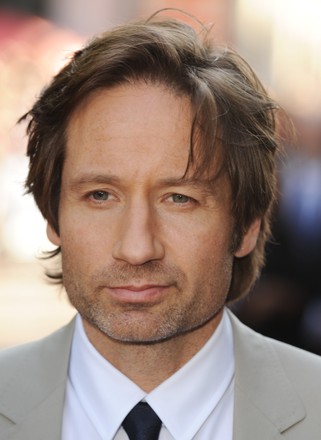 American Actor David Duchovny Attends Premiere Editorial Stock Photo ...
