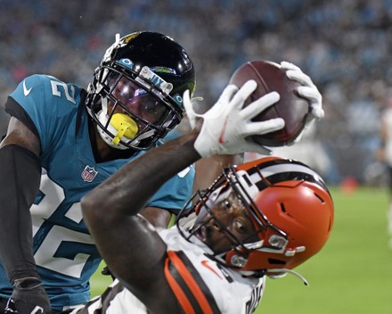 Tight End Connor Davis 86 Makes Editorial Stock Photo - Stock Image ...