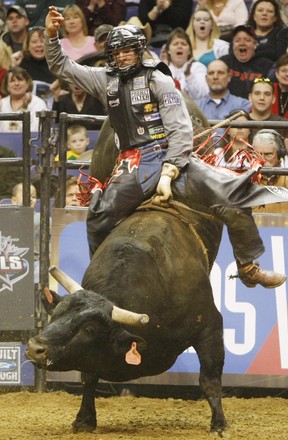 Bull Rider Wiley Petersen Fort Hall Editorial Stock Photo - Stock Image ...