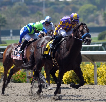 Horse Racing, San Diego, California, United States - 22 Jul 2009 Stock ...