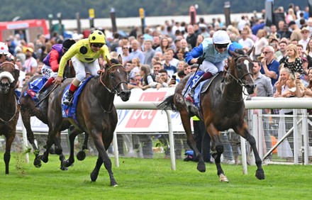 Ebor Festival, Day Three, Horse Racing, York Racecourse, York, UK 20 ...