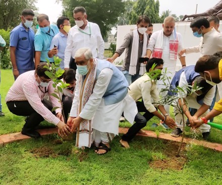 500 Tree sapling Stock Pictures, Editorial Images and Stock Photos ...