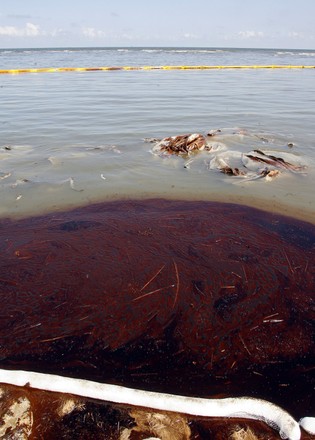 Thick Crude Oil Drips Rake On Editorial Stock Photo - Stock Image ...