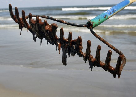 Oil Collects Cove On Elmers Island Editorial Stock Photo - Stock Image ...