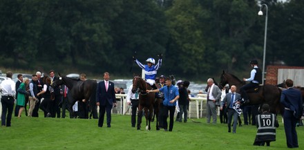 250 King power racing Stock Pictures, Editorial Images and Stock Photos ...