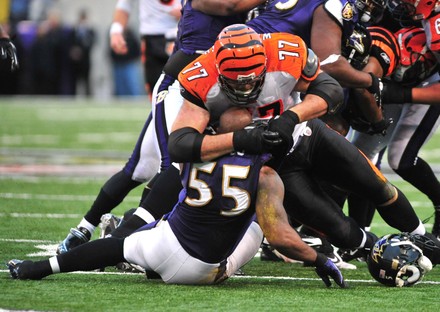 6 Andrew terrell Stock Pictures, Editorial Images and Stock Photos ...