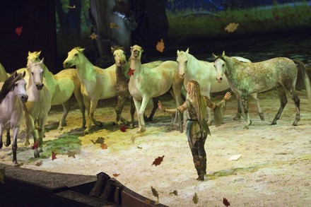 500 Cavalia Stock Pictures, Editorial Images and Stock Photos ...