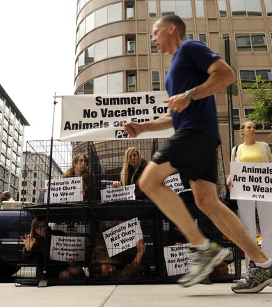 PETA holds anti-fur demonstration in Washington, District of Columbia ...