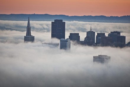 Low Fog Creeps Through San Francisco Editorial Stock Photo - Stock ...
