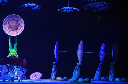 Chinese Acrobats Dancers Perform Beijings Most Editorial Stock Photo ...