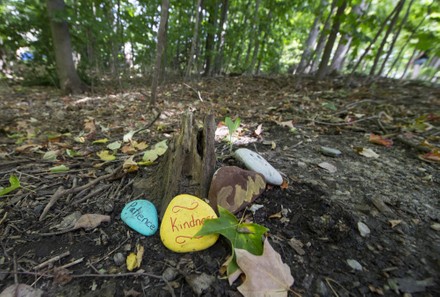 Painted Rocks Seen On Pheasant Run Editorial Stock Photo - Stock Image ...