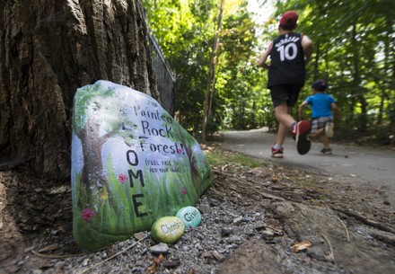 Painted Rocks Seen On Pheasant Run Editorial Stock Photo - Stock Image ...