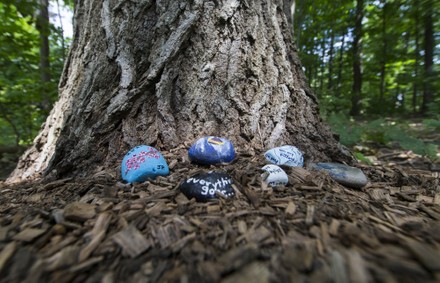 Painted Rocks Seen On Pheasant Run Editorial Stock Photo - Stock Image ...