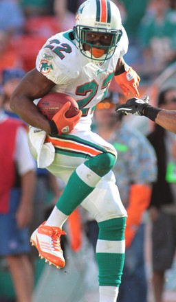 Miami Dolphins Runningback Reggie Bush 22 Editorial Stock Photo - Stock ...