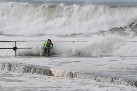 500 Metropolitan beach Stock Pictures, Editorial Images and Stock ...