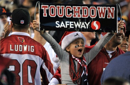 One Arizona Cardinals Fan R Celebrates Editorial Stock Photo - Stock ...