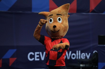 Ace Mascot Dance During Cev Eurovolley Editorial Stock Photo - Stock ...