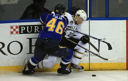 St Louis Blues Roman Polak Czech Editorial Stock Photo - Stock Image ...