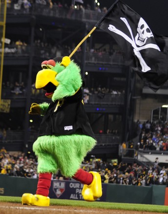 Pittsburgh Pirates Mascot Pittsburgh Parrot Celebrates Editorial Stock ...
