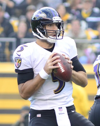 NFL Ravens Pittsburgh, Pennsylvania, United States - 20 Oct 2013 Stock ...