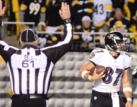 NFL Ravens Pittsburgh, Pennsylvania, United States - 20 Oct 2013 Stock ...