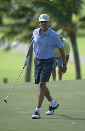 President Barack Obama Surveys His Putt Editorial Stock Photo - Stock ...