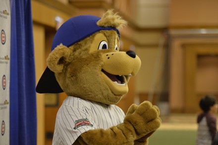Chicago Cubs Mascot Clark Greets Fans Editorial Stock Photo - Stock ...