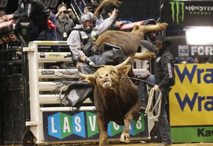 Rider Reese Cates Holds Onto Jared Editorial Stock Photo - Stock Image ...