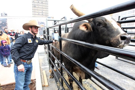 Professional Bullrider Luke Snyder Springfield Missouri Editorial Stock ...