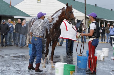 Horse Racing-Kentucky/, Louisville, United States - 30 Apr 2014 Stock ...