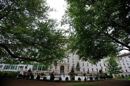 Trees Frame Emory University Hospital Where Editorial Stock Photo ...