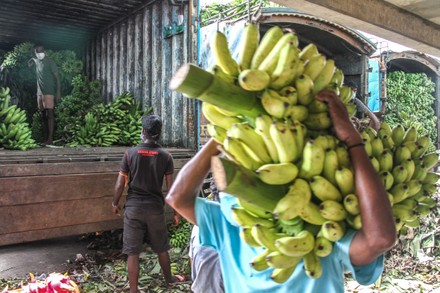 500 Wholesale center Stock Pictures, Editorial Images and Stock Photos ...