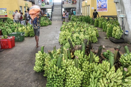 500 Wholesale center Stock Pictures, Editorial Images and Stock Photos ...