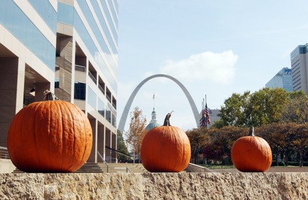 Bright Orange Pumpkins Sit On Ledge Editorial Stock Photo - Stock Image ...